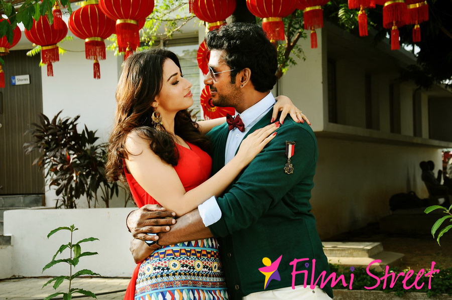 Kathi Sandai movie stills | Kathi Sandai latest images